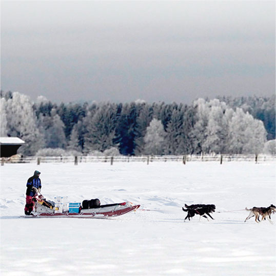 NLCDC | Northern Lights Community Development Corporation